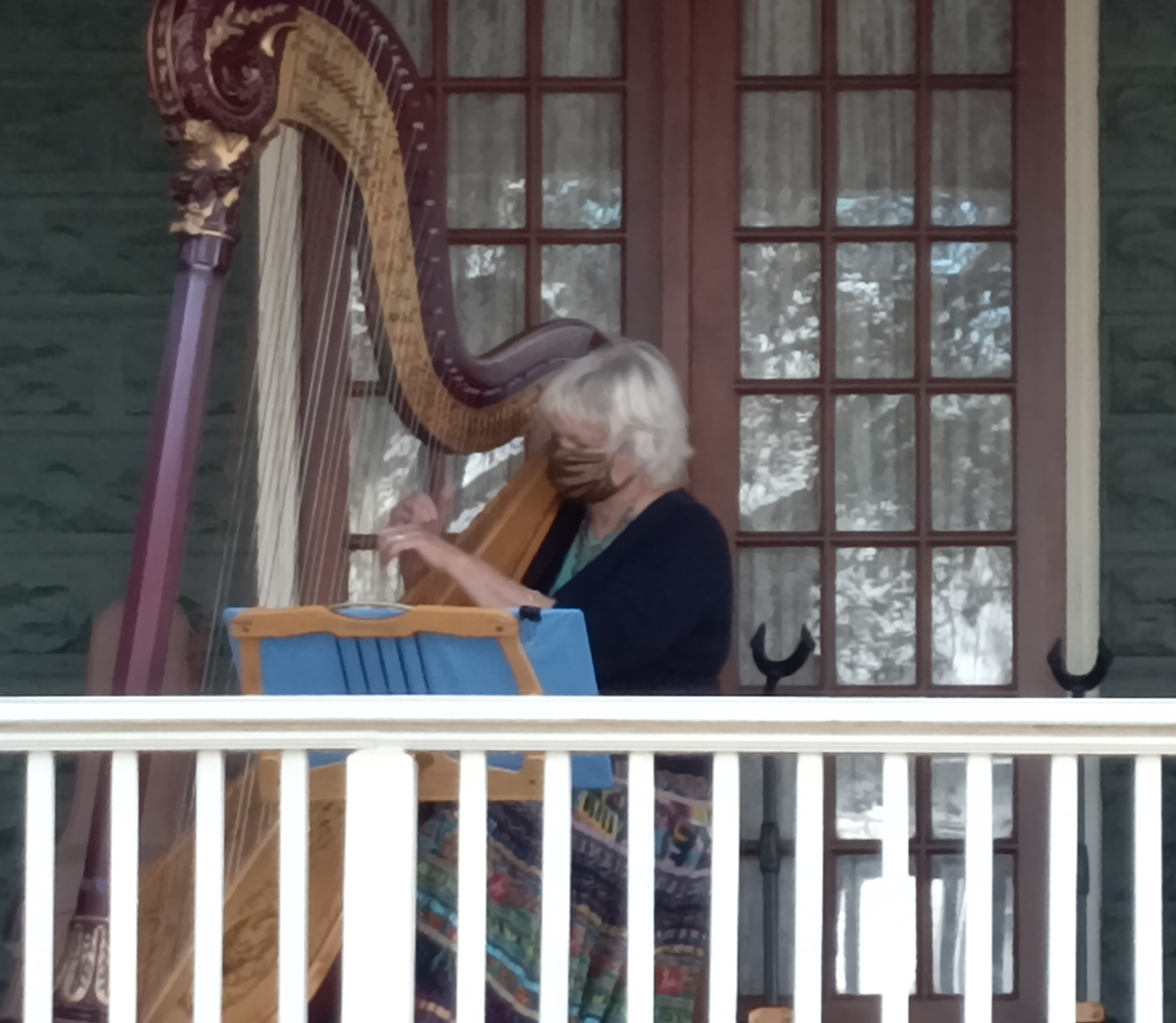 Gallery – Crimson Rose Harpist