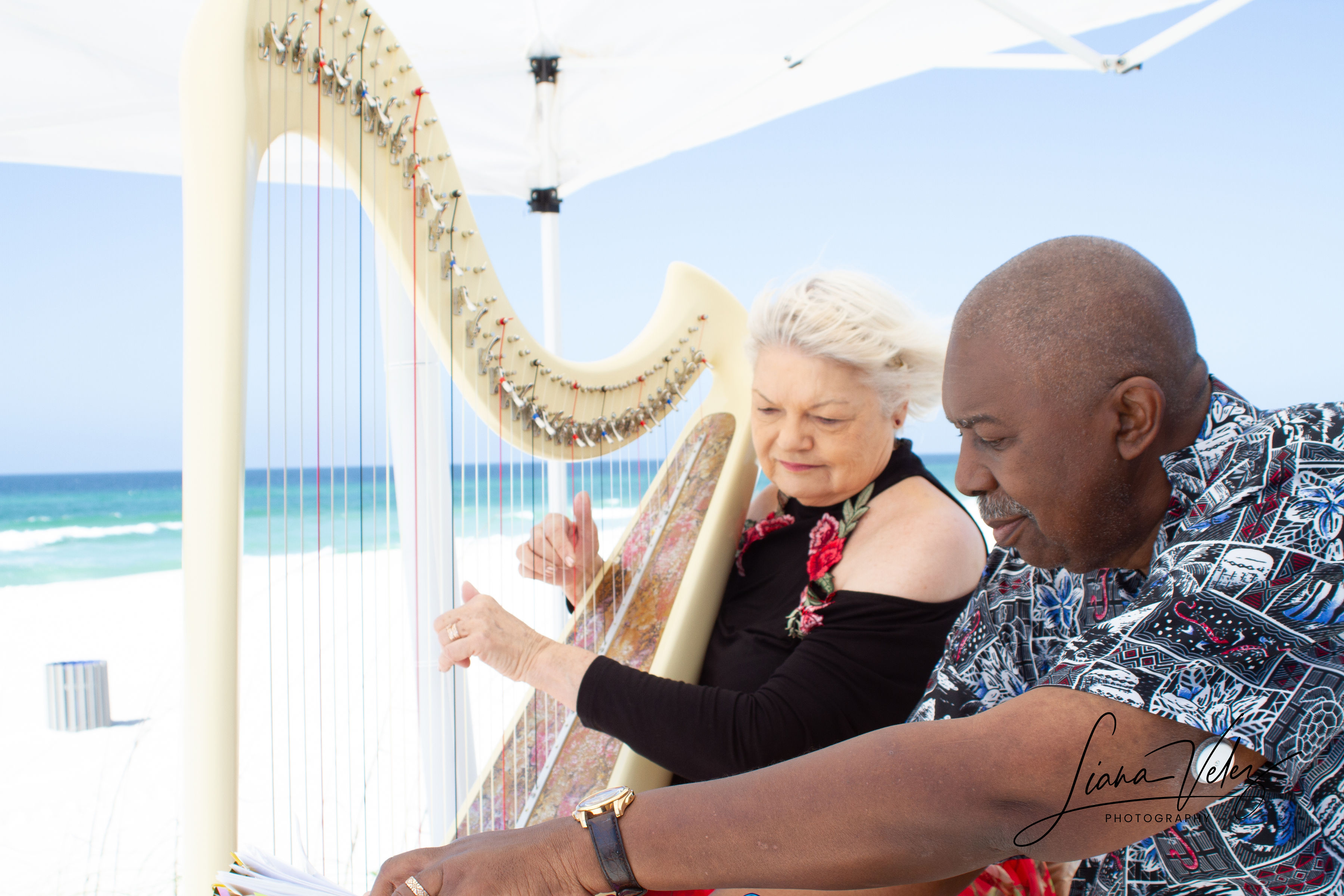 Past Events – Crimson Rose Harpist